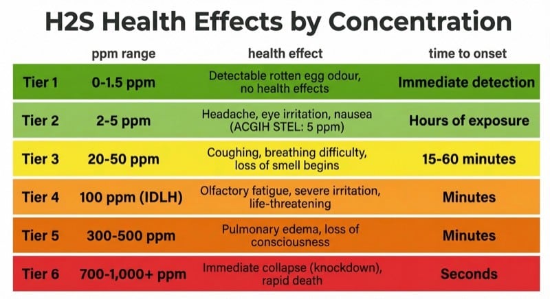H2S Gas: Hazards, Safety & Worker Guide